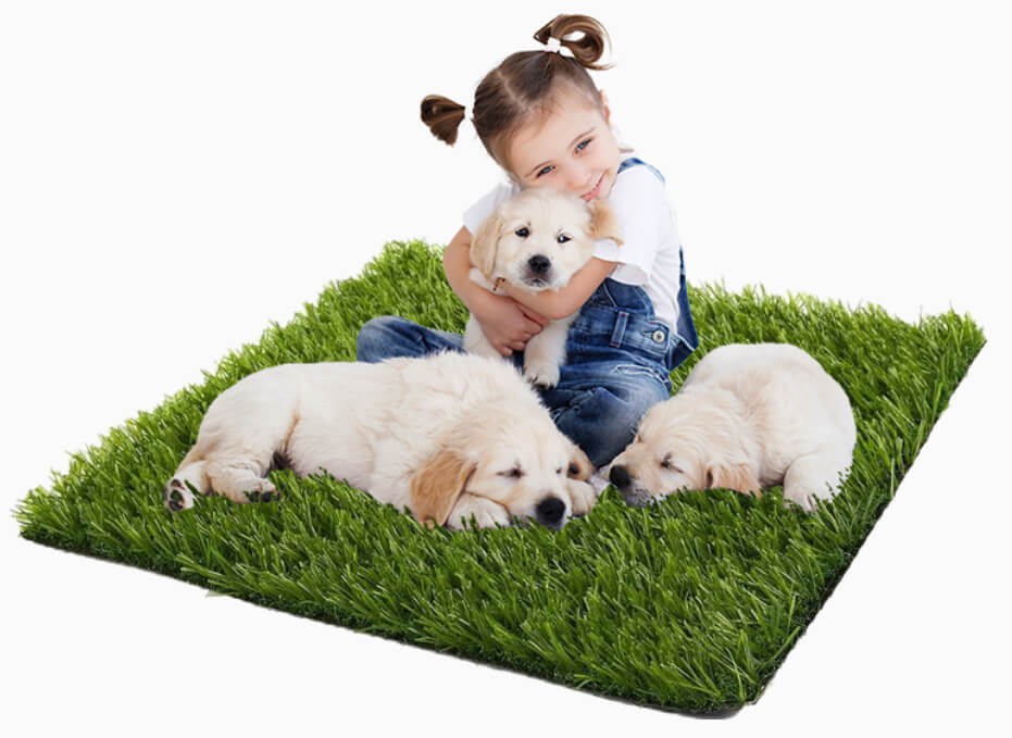 Fake Grass Installation & Best Artificial Turf Installers in Los ...